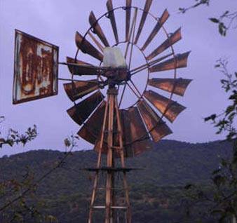 Oppie Plaas Parys Activities